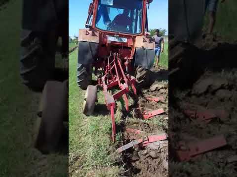 Traktor belarus ne cerme sektor shitet.