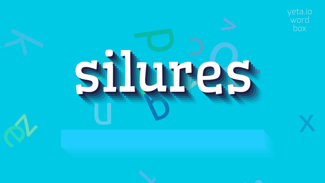 How to say "silures"! (High Quality Voices) - YouTube