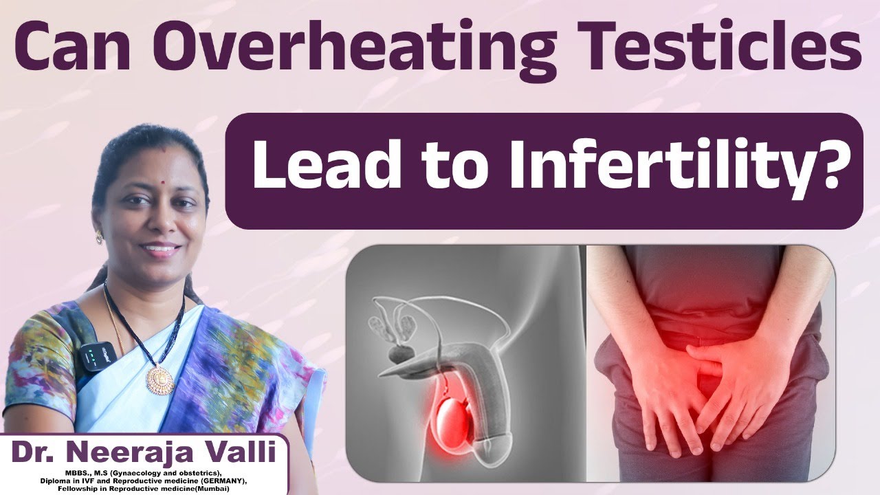 Pain in Testicles? || Testicular Hyperthermia is Explained || Dr ...