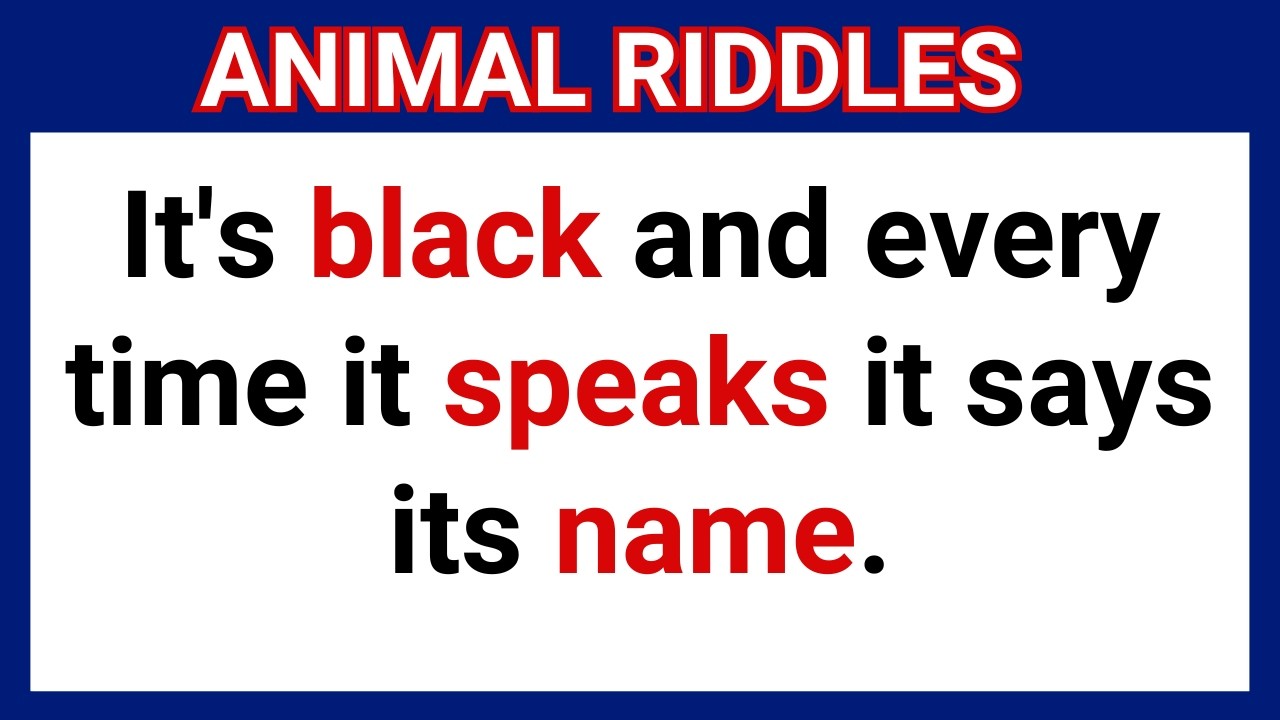 Riddles and Trivia Fun: Test Your Brainpower! #riddleswithanswers # ...