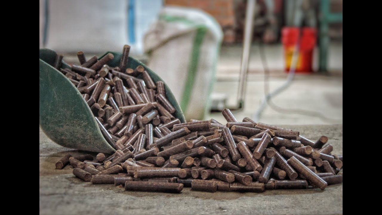 🧪🔥 TRANSFORMING COFFEE RESIDUES IN BIOFUELS - PELLETS - YouTube
