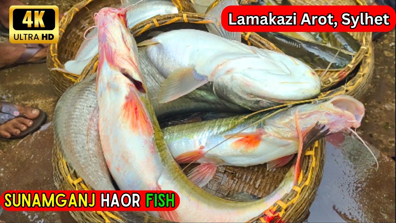 This Fish Market in Sylhet Will Blow Your Mind – Discover Lamakazi ...