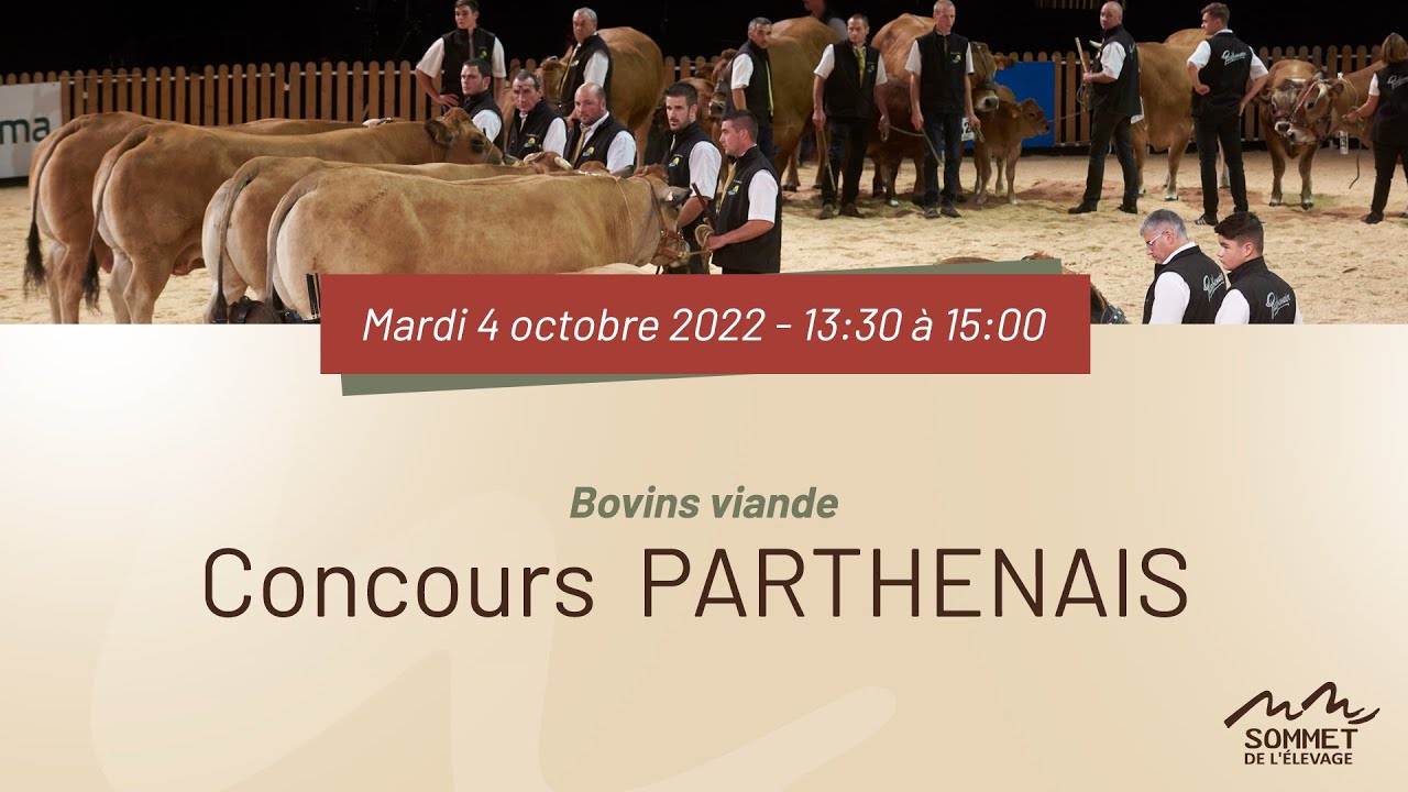 Sommet de l'élevage 2022 - Concours PARTHENAIS - 04/10/2022 - YouTube