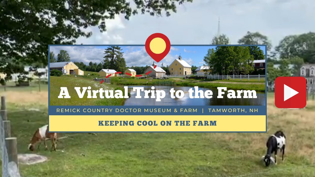 Keeping Cool on the Farm - YouTube