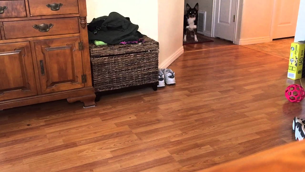 Juno + wood floors = FAIL! - YouTube