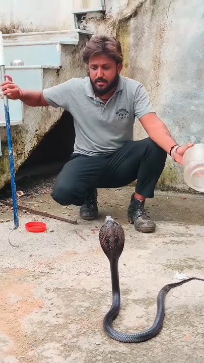 The easiest way to catch a snake. See how easily it was rescued India # ...