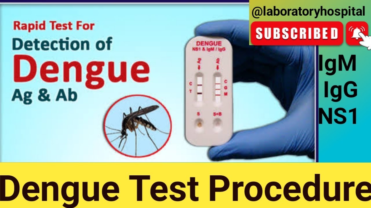 Dengue Test Procedure in Hindi 👍 डेंगू टेस्ट कैसे किया जाता है||# ...