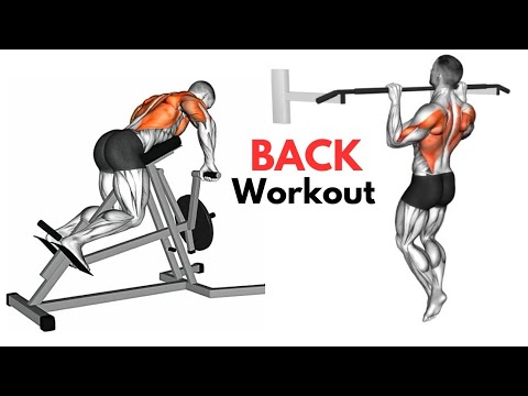 Back Workout at Gym | Back Exercises - YouTube