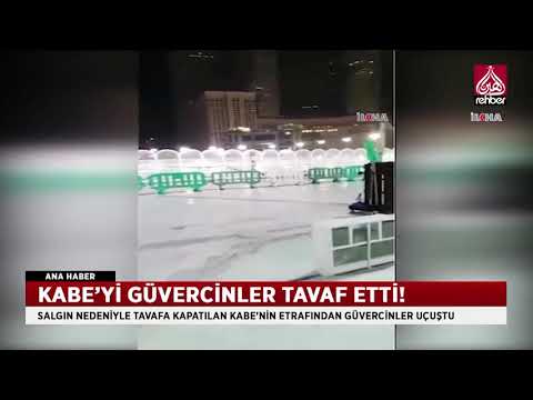 Sübhanallah Boş kalan kabeyi güvercinler tavaf ediyor.
