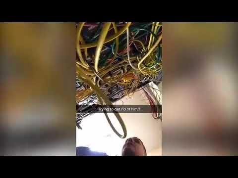 Brit sneaks into Babestation studios to pull VERY cheeky prank on half naked models