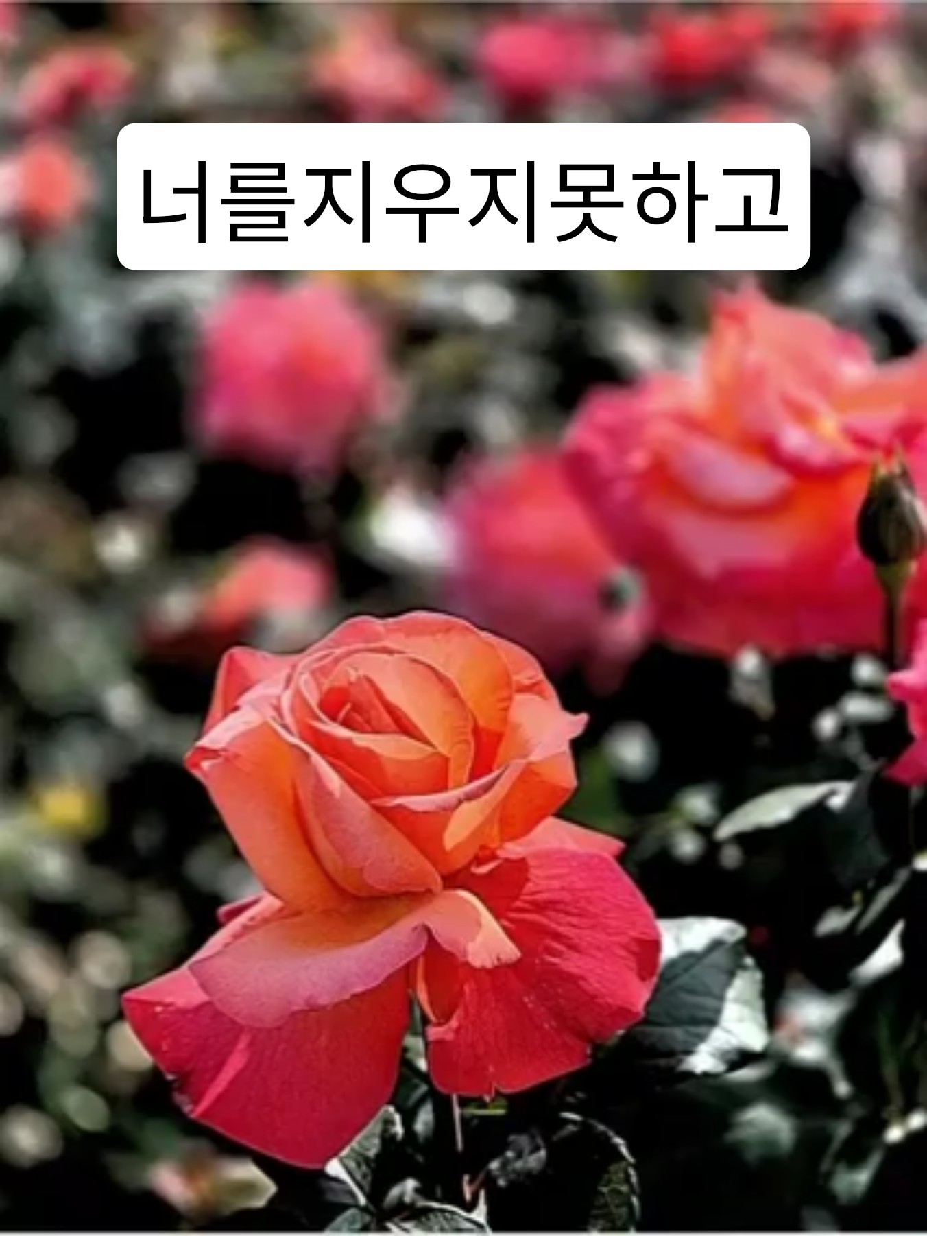 kballad l《너를 지우지 못하고》 - YouTube