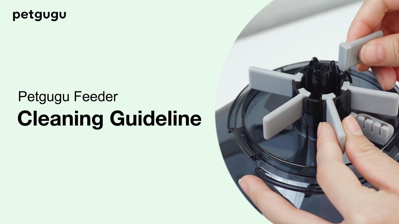 Petgugu Feeder Cleaning Guideline - YouTube