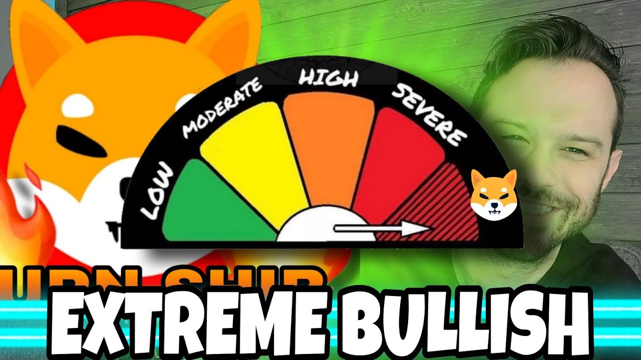 Shiba Inu Coin | Bullish SHIB Prediction As Bitcoin Hits All Time High ...