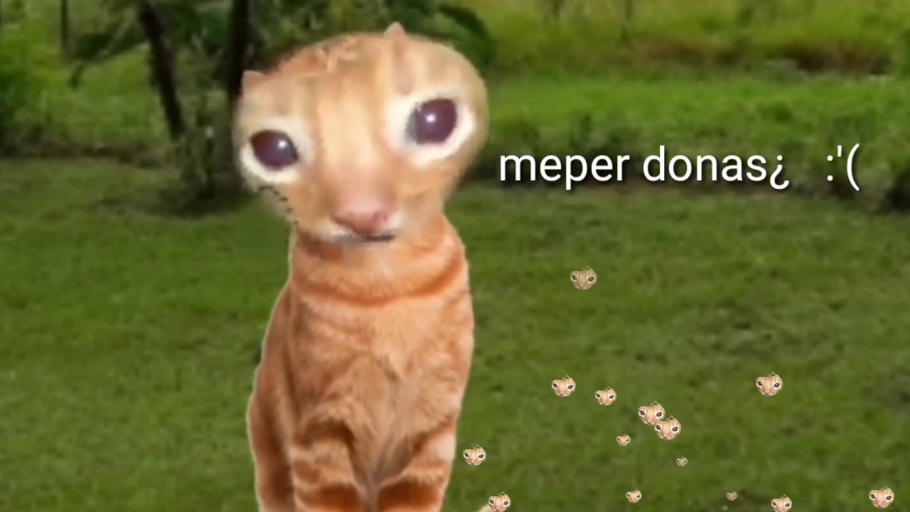meper donas¿ - YouTube