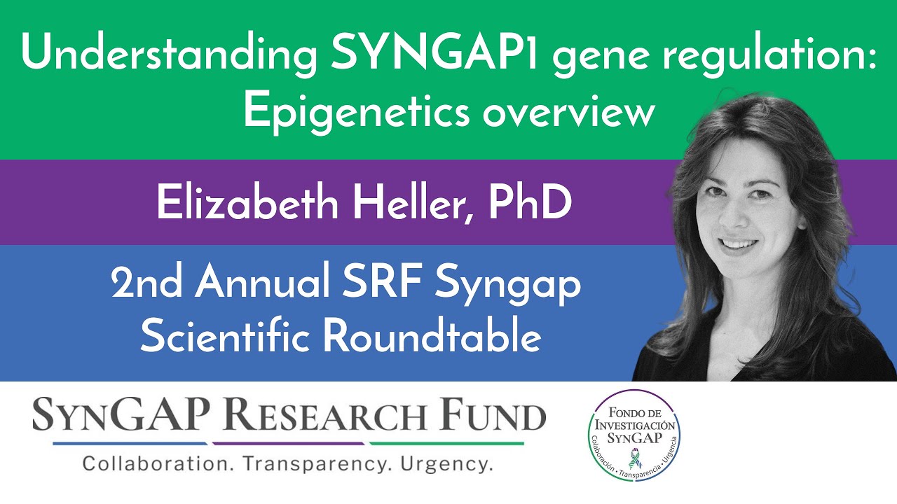 Understanding SYNGAP1 gene regulation: Epigenetics overview - Elizabeth ...