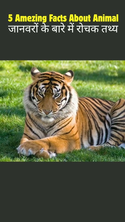 Crazy Facts About Animals 🐸🦘 | Amazing Facts | Random Facts | Mind ...