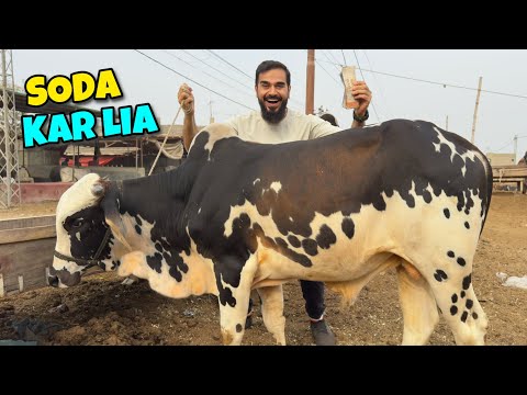 Alhamdulillah VIP janwar ley lia mandi se 😍