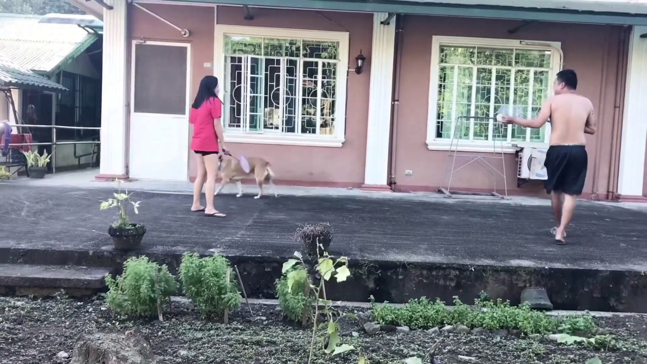 Badminton tournament | lockdown - YouTube