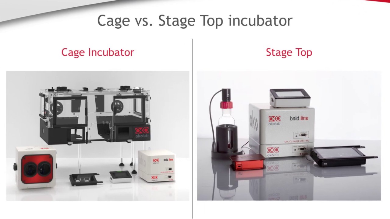 Tutorial 1 Cage vs stage top - YouTube