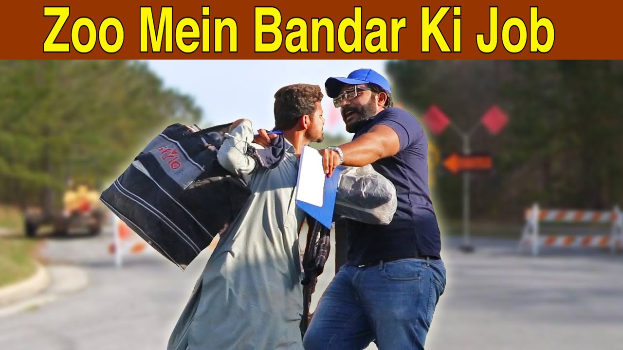 Offering Funny Jobs Prank - YouTube