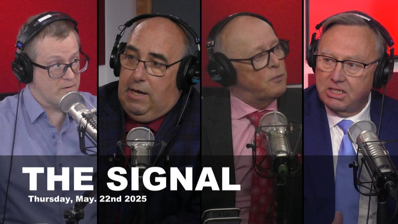 The Signal l Politics, electoral issues and the future of N.L. - YouTube