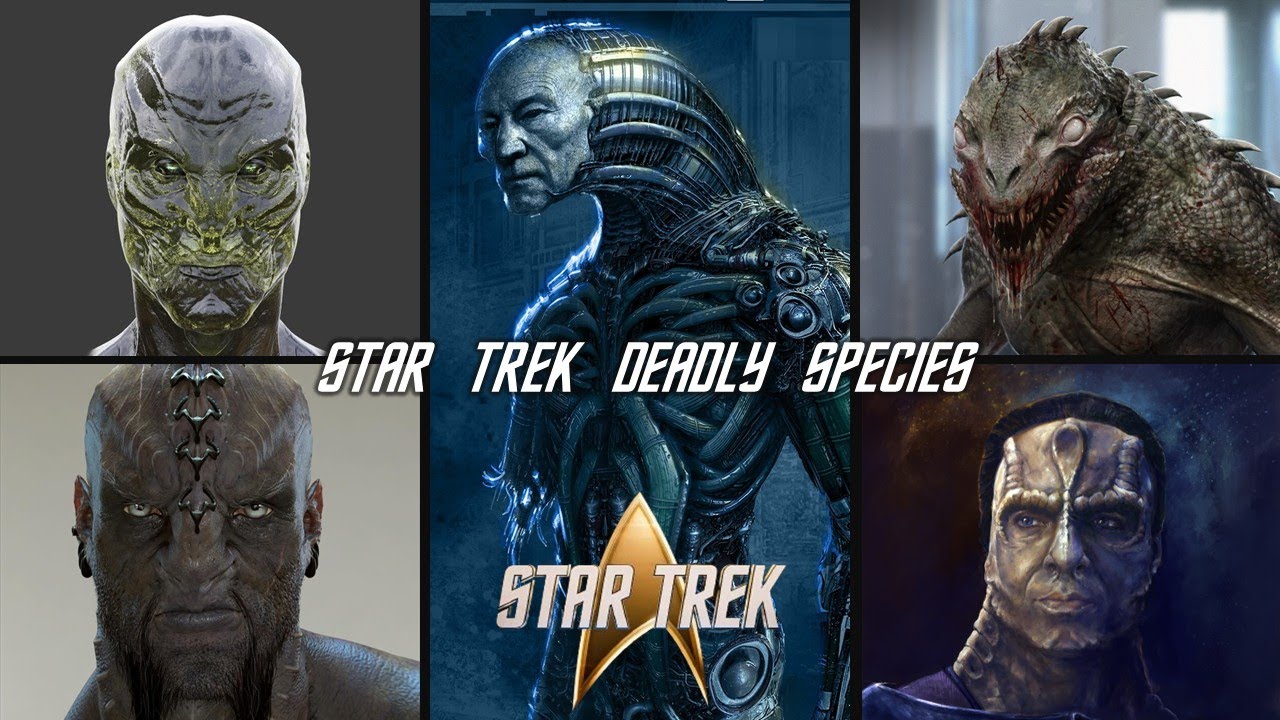 The 15 Deadly Alien Races In Star Trek Universe - YouTube