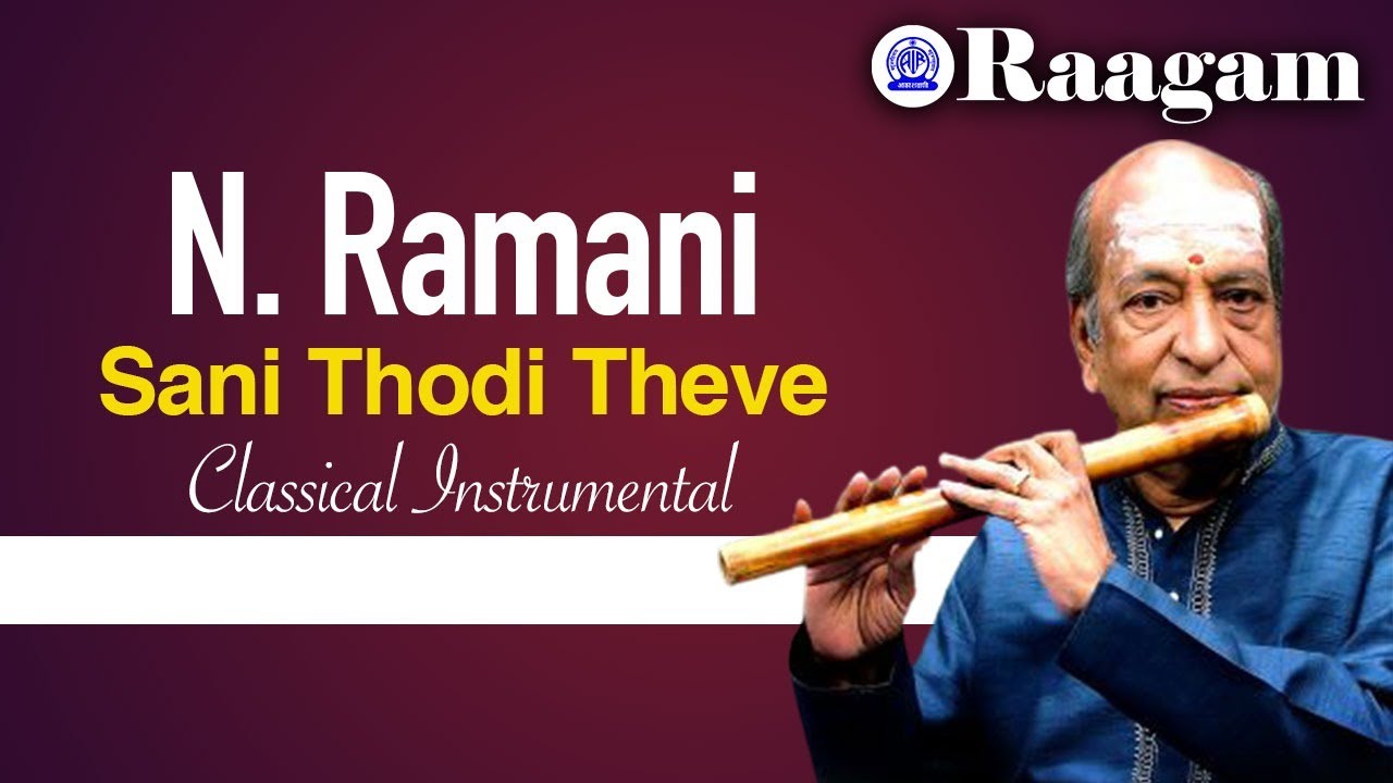 Dr. N. Ramani II Sani Thodi Theve II Flute - YouTube