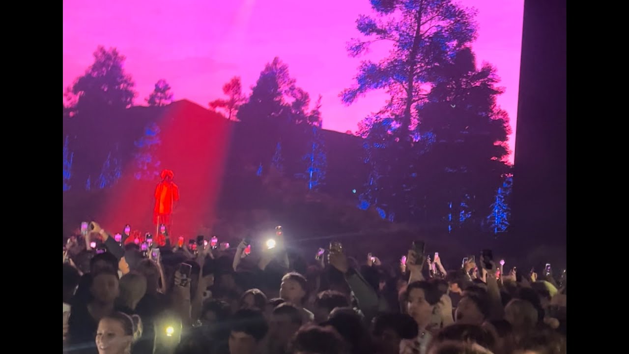 Tyler the creator NEW MAGIC WAND live (CMIYGL tour Australia Melbourne ...