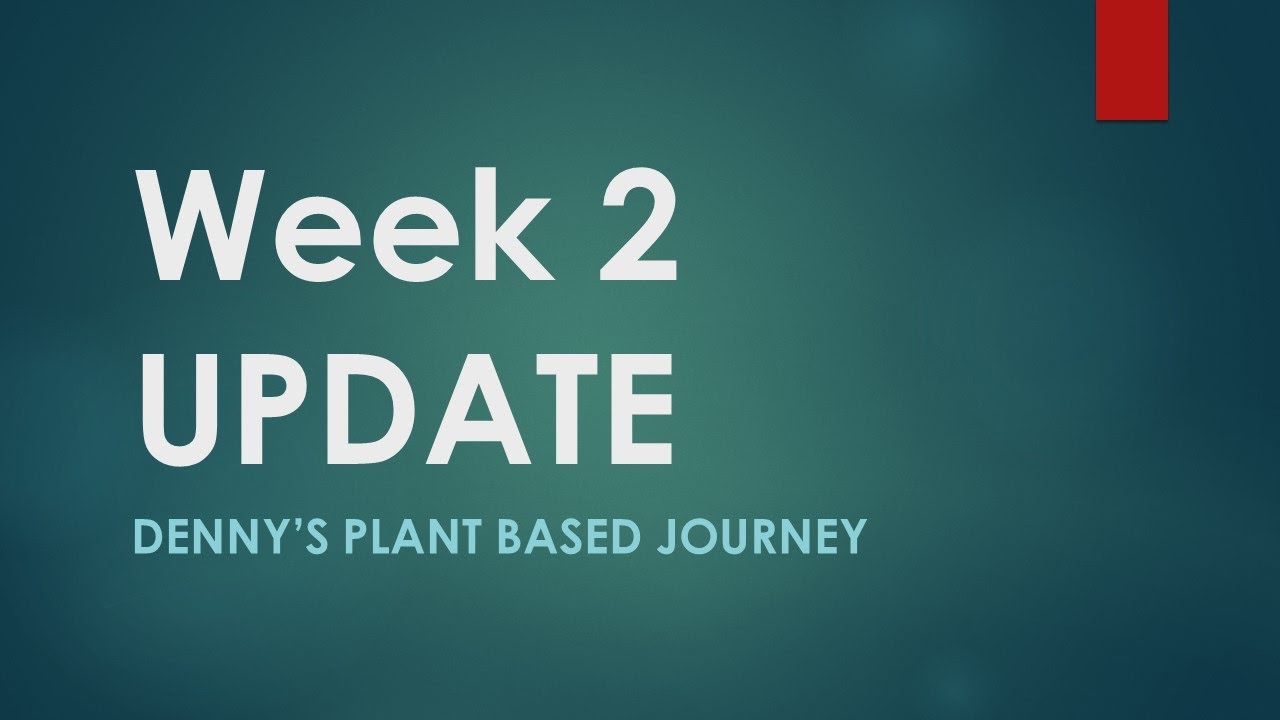 Week 2 Results Update - Progress - YouTube