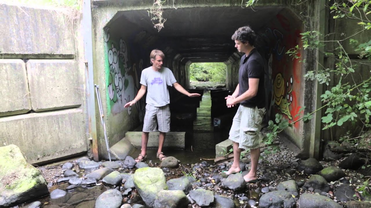 Mechanics of a Box Culvert with Baffles - YouTube