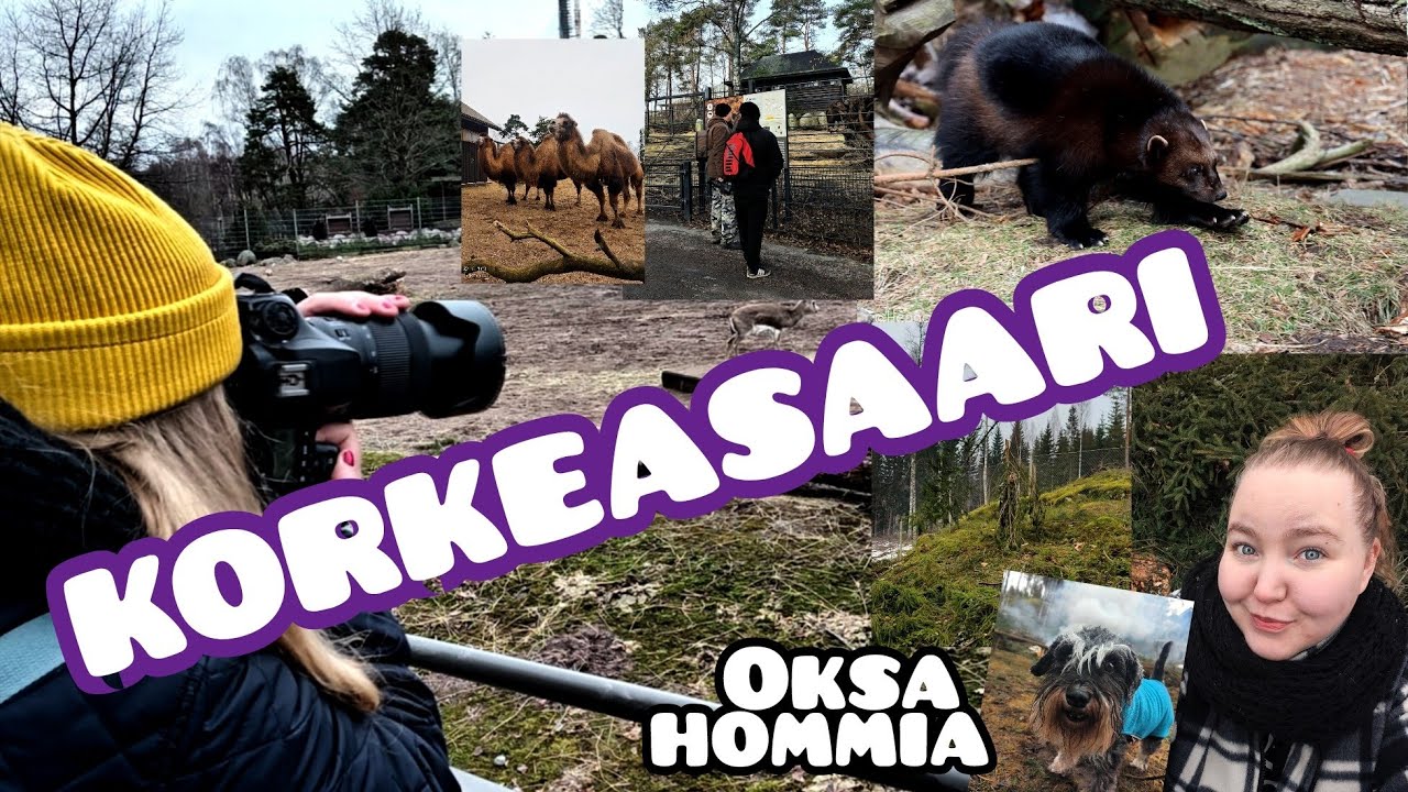 MONEN MOISIA LYLLERTÄJIÄ 💎 - YouTube