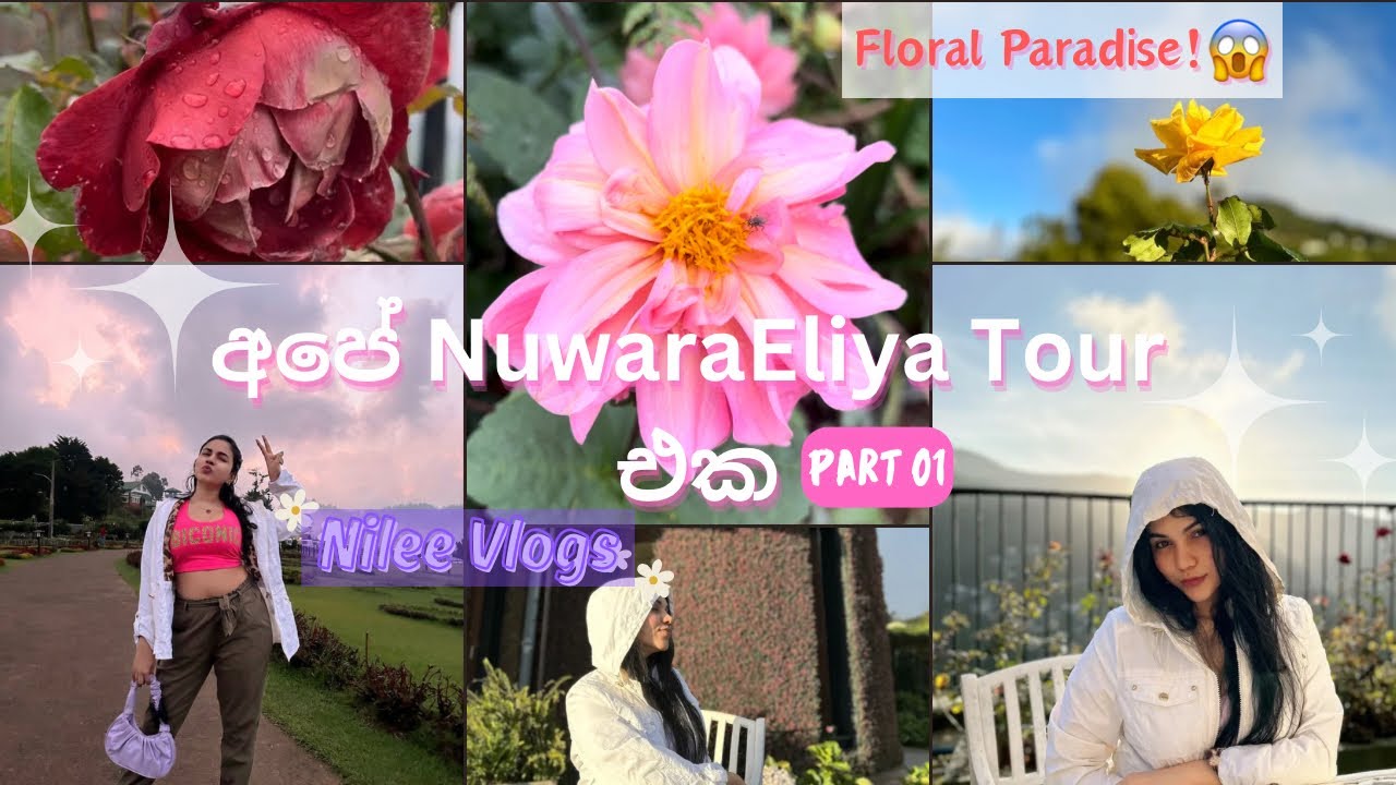 අපේ නුවරඑලිය ගමන | NuwaraEliya Tour | Travel Vlog (Part 01) | රෝස මල් ...
