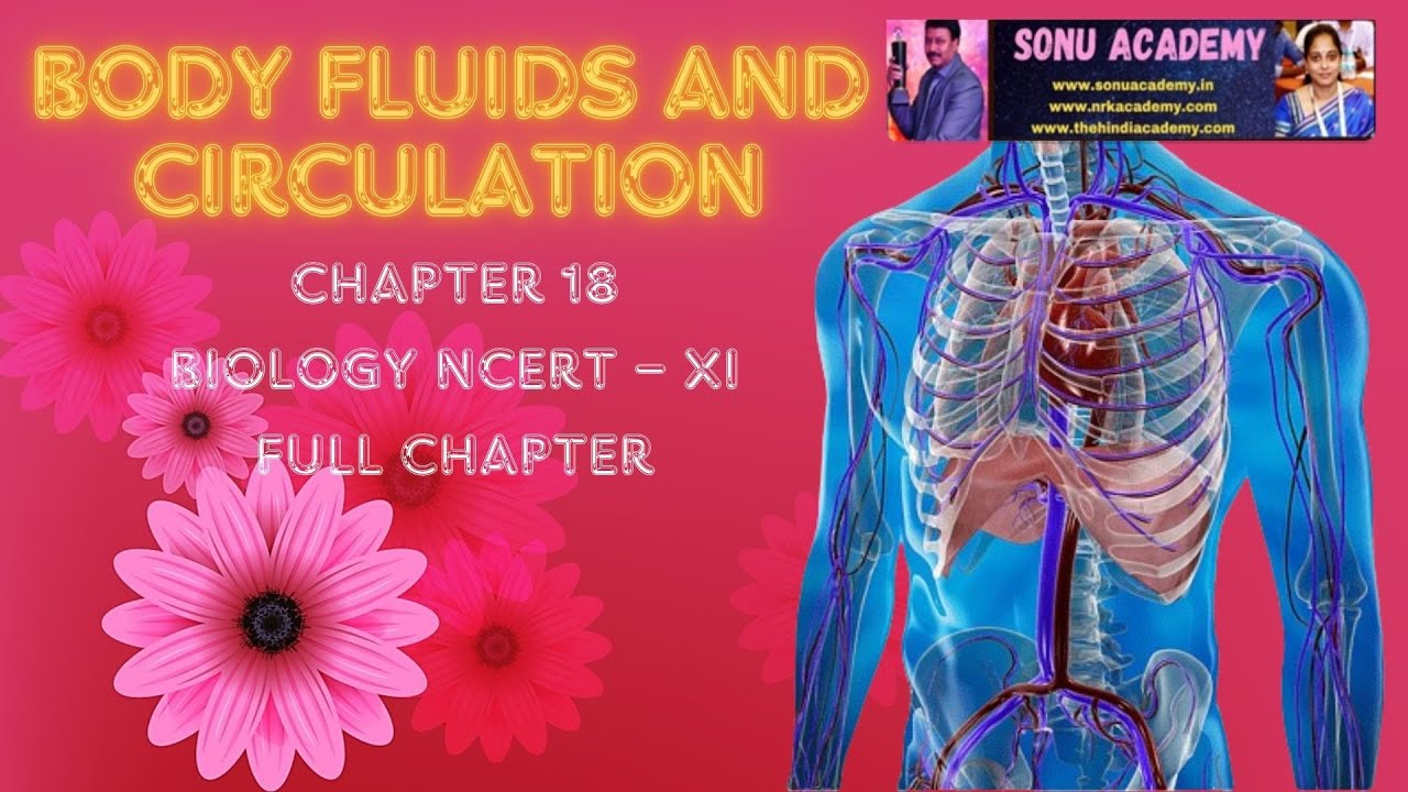BODY FLUIDS AND CIRCULATION || CHAPTER 18 || BIOLOGY || NCERT – XI # ...