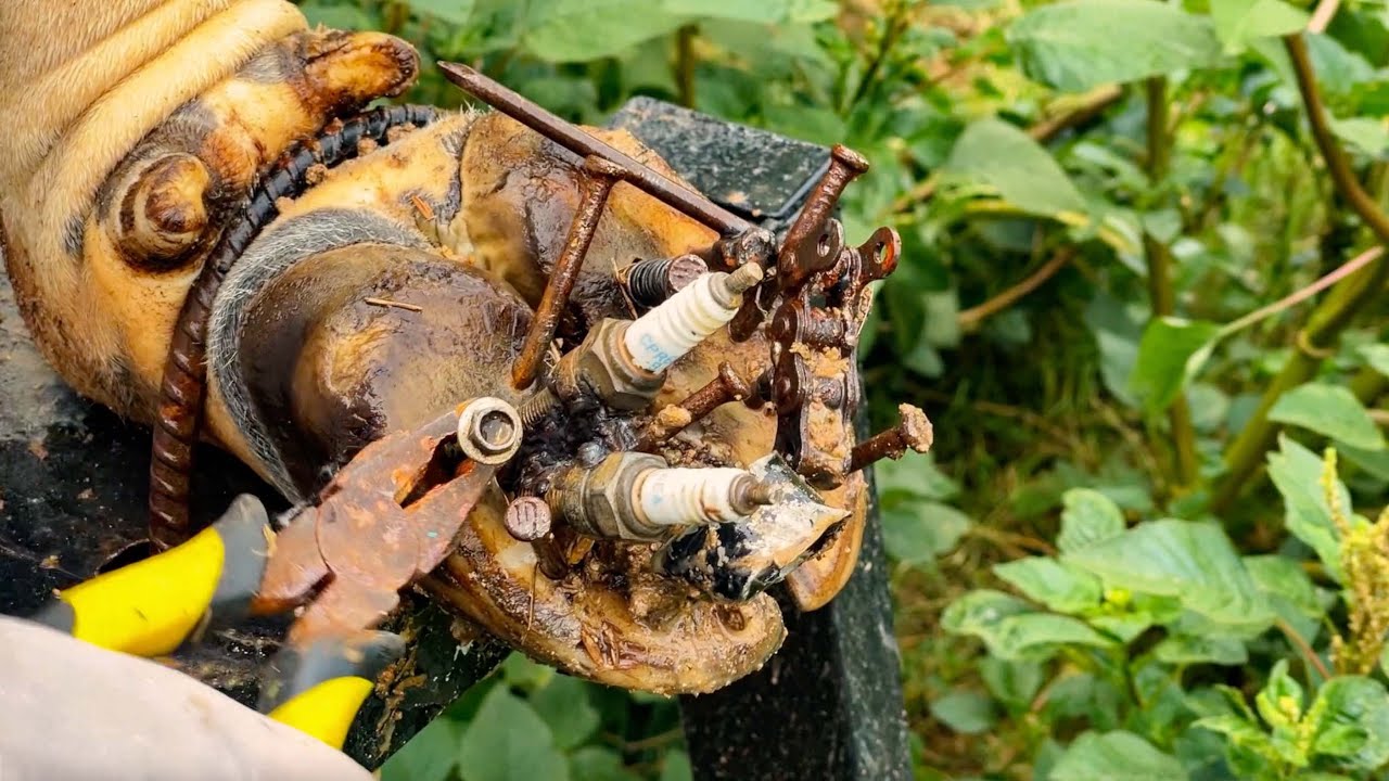 266!! Sharp construction screw penetration cow hoof got help removing by farmer - YouTube