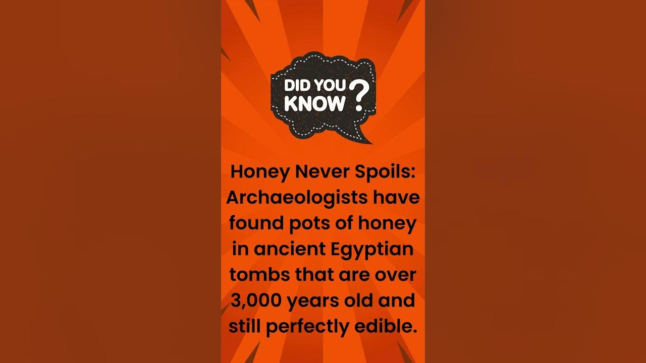 Fun Facts For You Did You Know This Fact Subscribe Fun Factshorts Youtubeshorts Viral