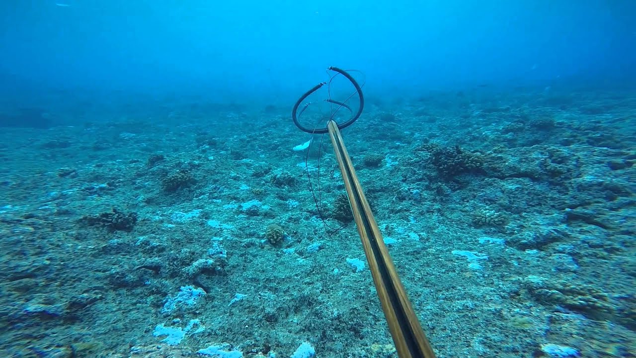 Getting There - Spearfishing Guam 2014 - YouTube