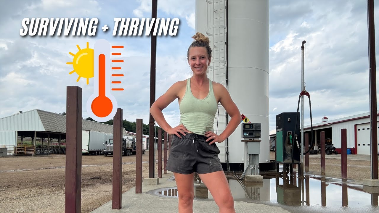 Surviving the Heat + Humidity on our Farm! - YouTube