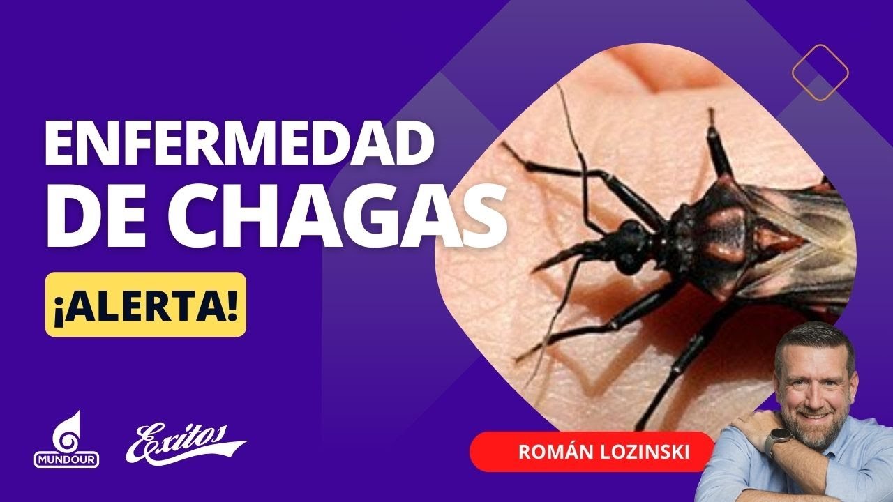 ¡Alerta! Enfermedad de Chagas y sus riesgos de contagio en Venezuela ...