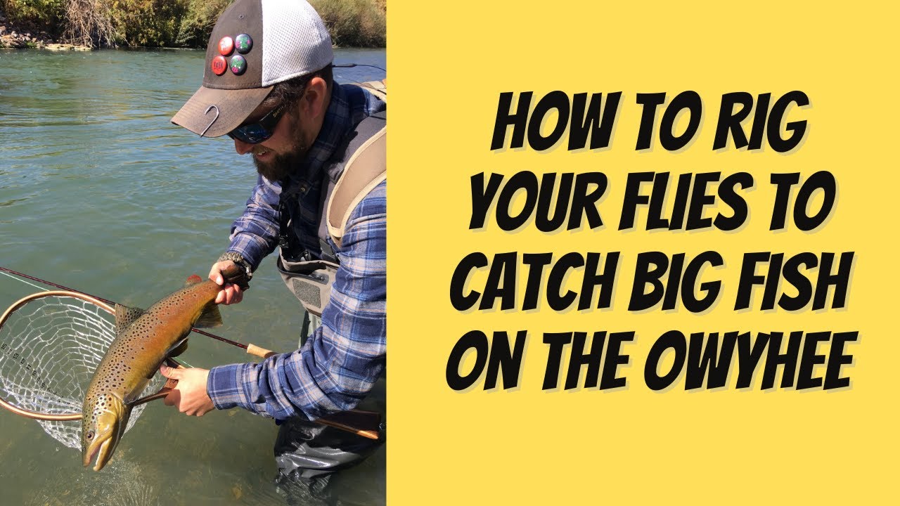 How to rig flies to catch fish on the Owyhee River. Guide Tied Owyhee ...