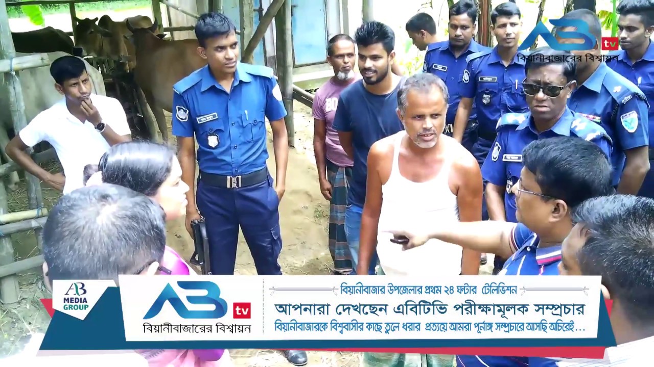 ABtv News Beanibazar।। রাস্তার পাশে গরু রাখলে হতে পারে জেল জরিমানা ...