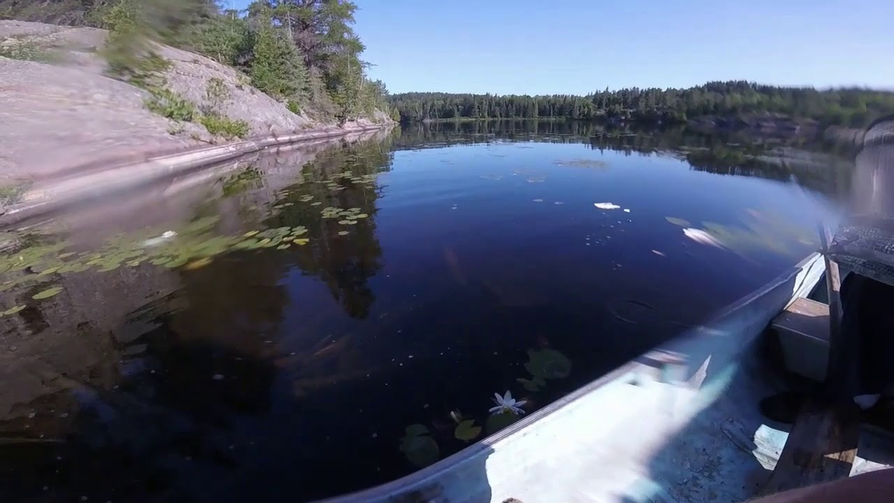 Trapping Canadian Minnows - YouTube