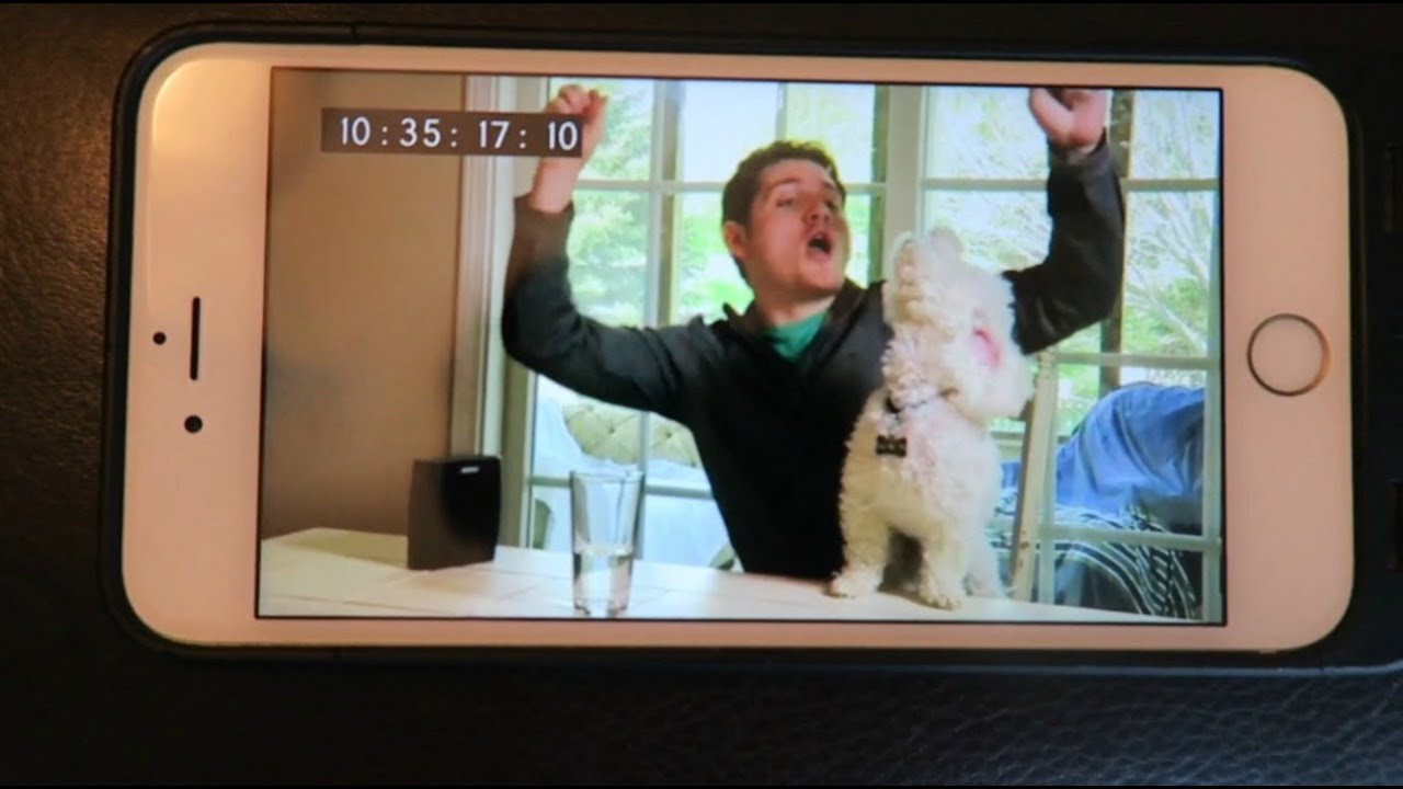 QUINCY AND I ARE ON TV! - YouTube