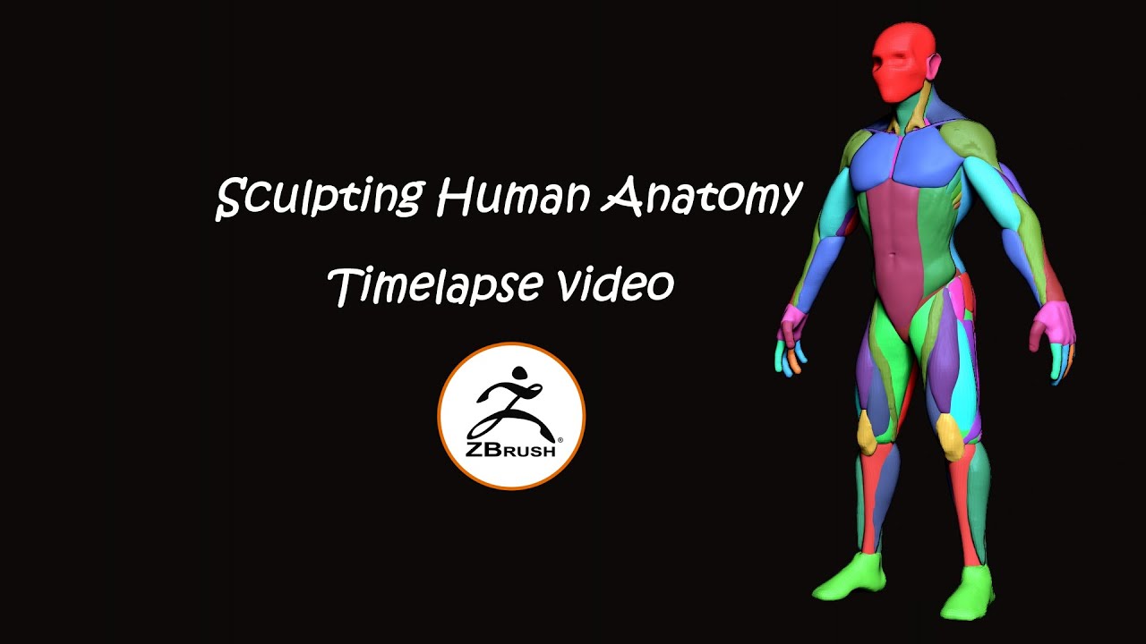 Sculpting Simplified Human Anatomy (Time-Lapse) - YouTube