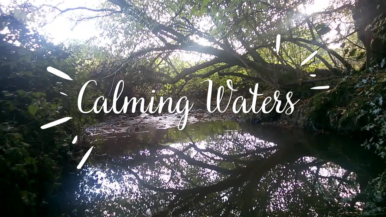 Calming Waters: A Video To Relax To (ASMR) - YouTube