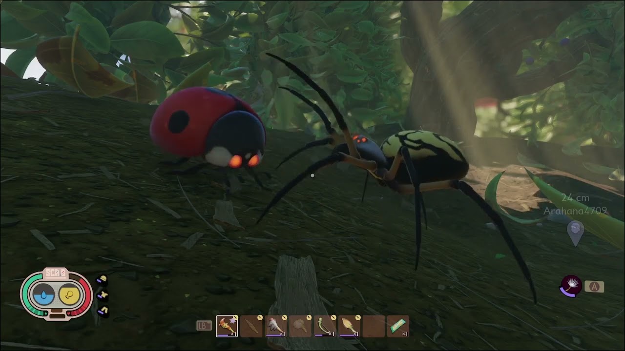 Grounded Ladybug vs Orb weaver - YouTube