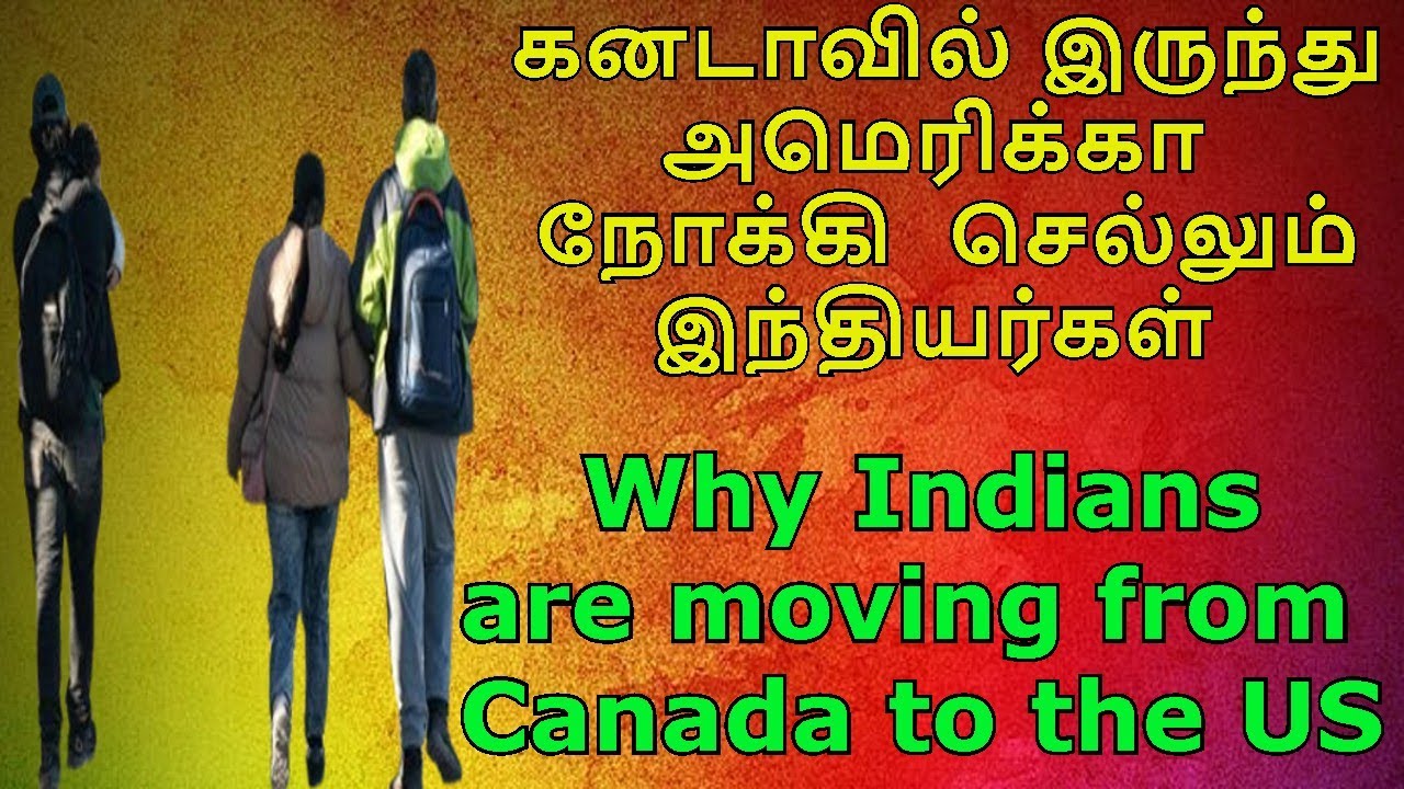 கனடாவில் இருந்து அமெரிக்காநோக்கி செல்லும் இந்தியர்கள், Why most Indians ...