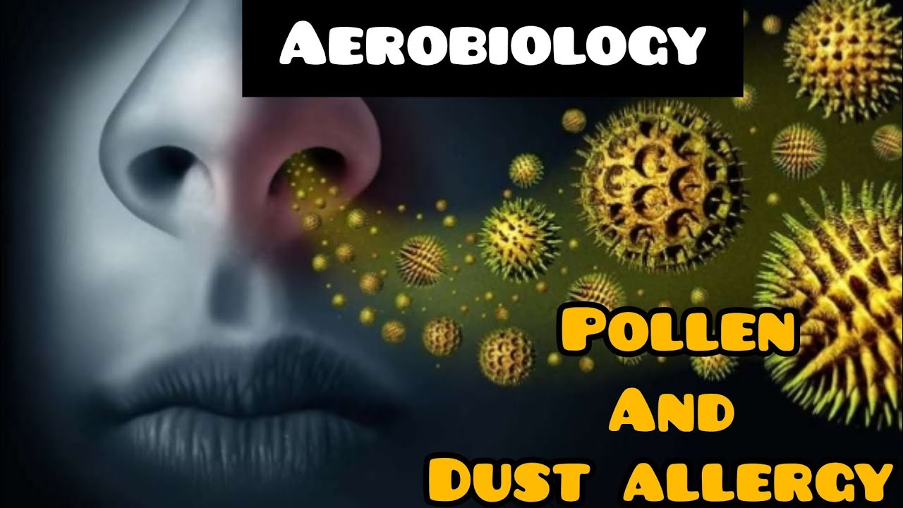 Aerobiology||Pollen and dust allergy😷🤧|By GhazalsChannel10jr - YouTube