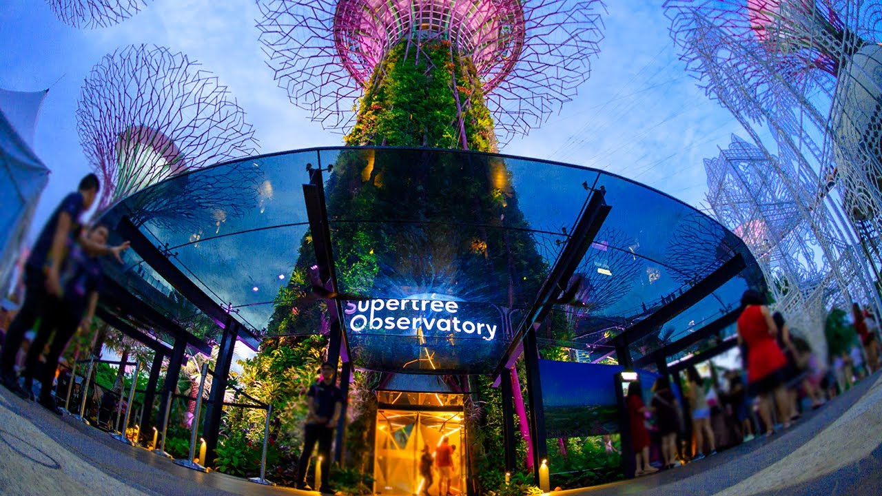 Gardens by the Bay Supertree Observatory (New) - YouTube