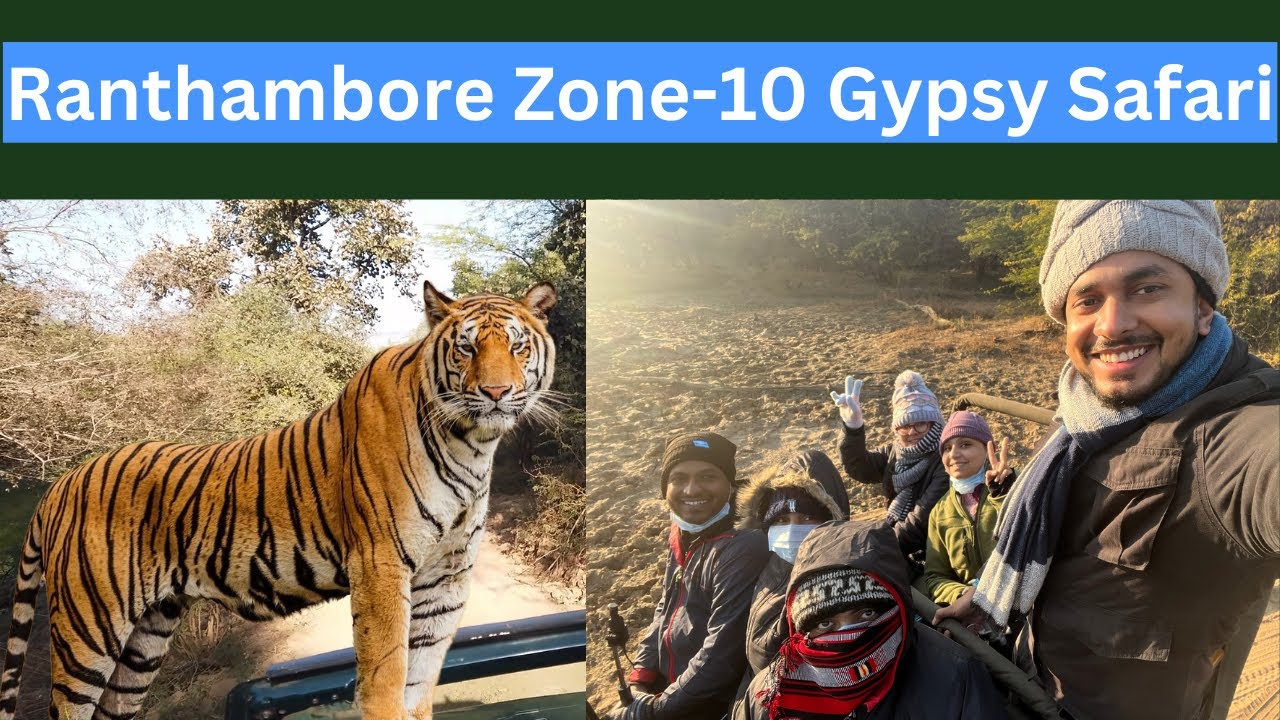 Ranthambore Zone-10 Safari in Gypsy | Freezing Cold Jungle but Tiger ...