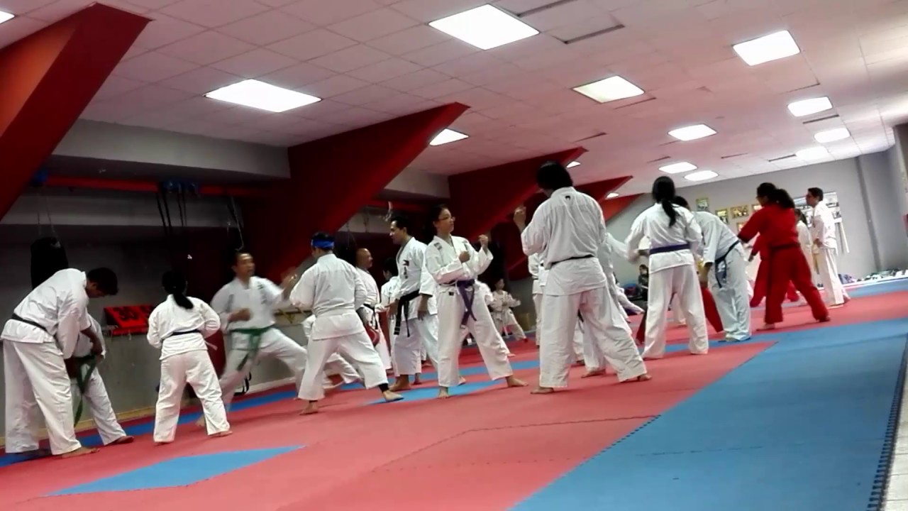 karate reverse punch one step sparring - YouTube